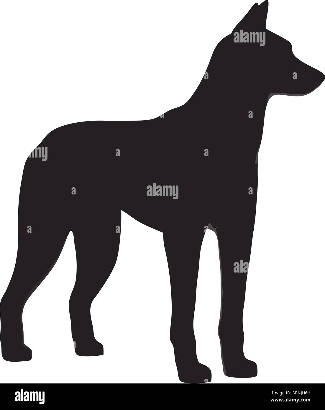 Loyal guard Stock Vector Images - Alamy