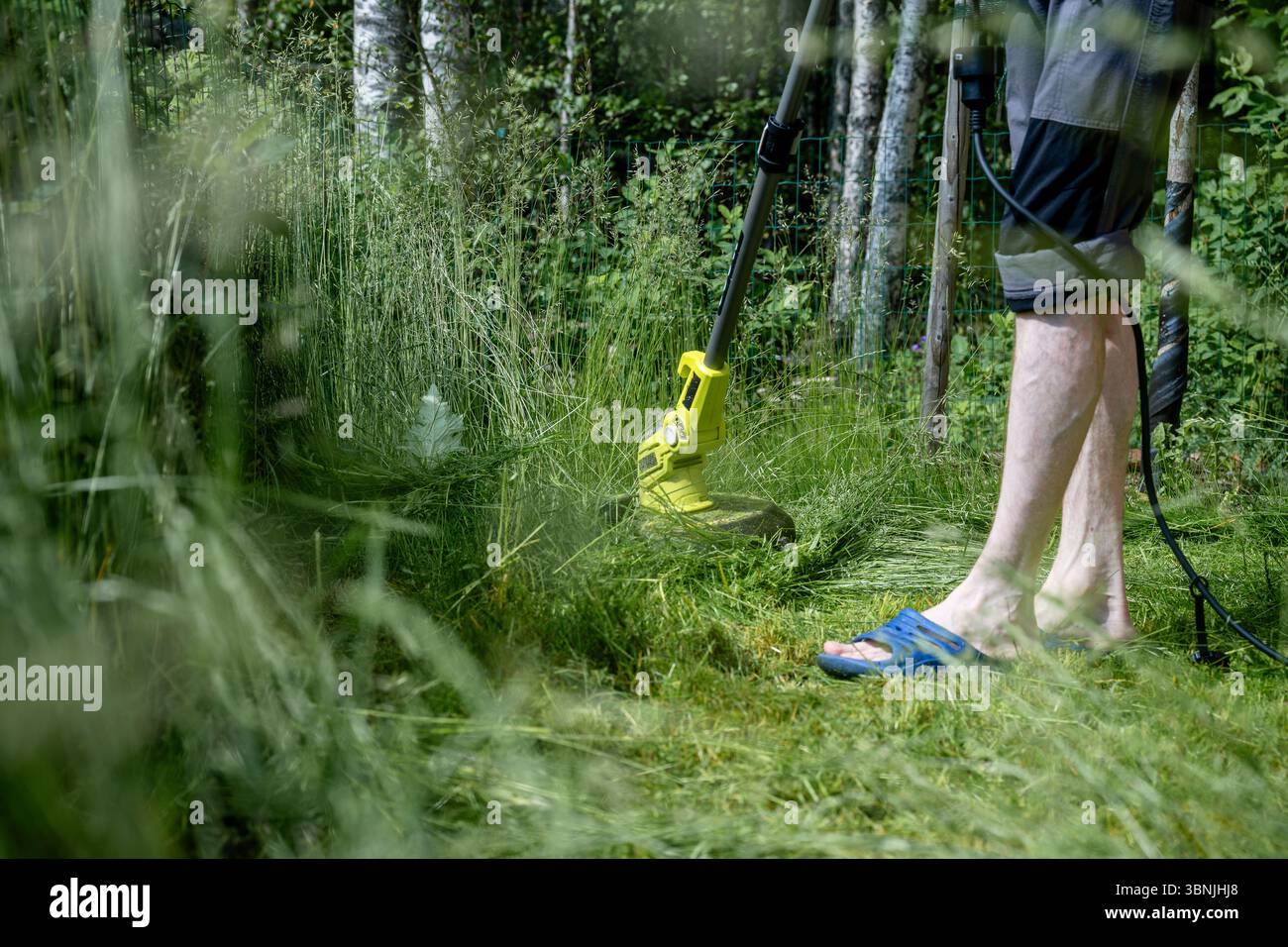 man trimming overgrown grass with electric string trimmer in summer ...