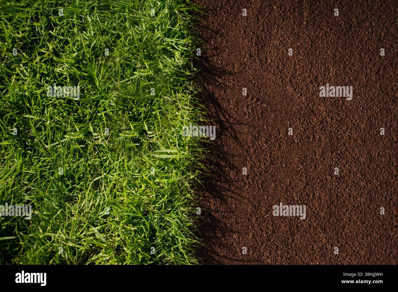 Green color palette tones hi-res stock photography and images - Alamy