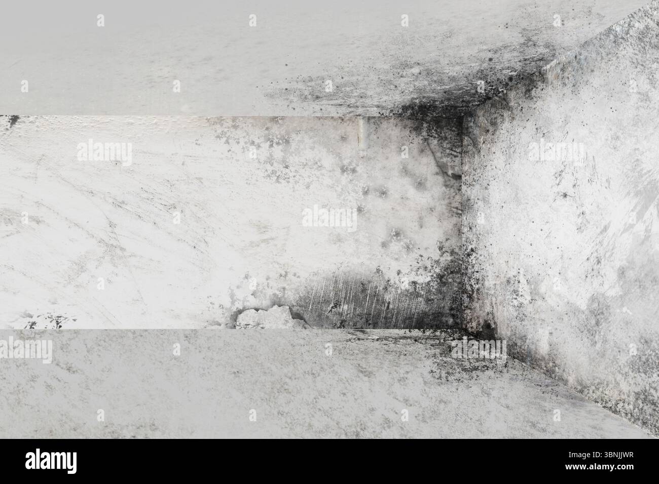 Concrete corner is showing peeling white paint and mold stains on floor ...