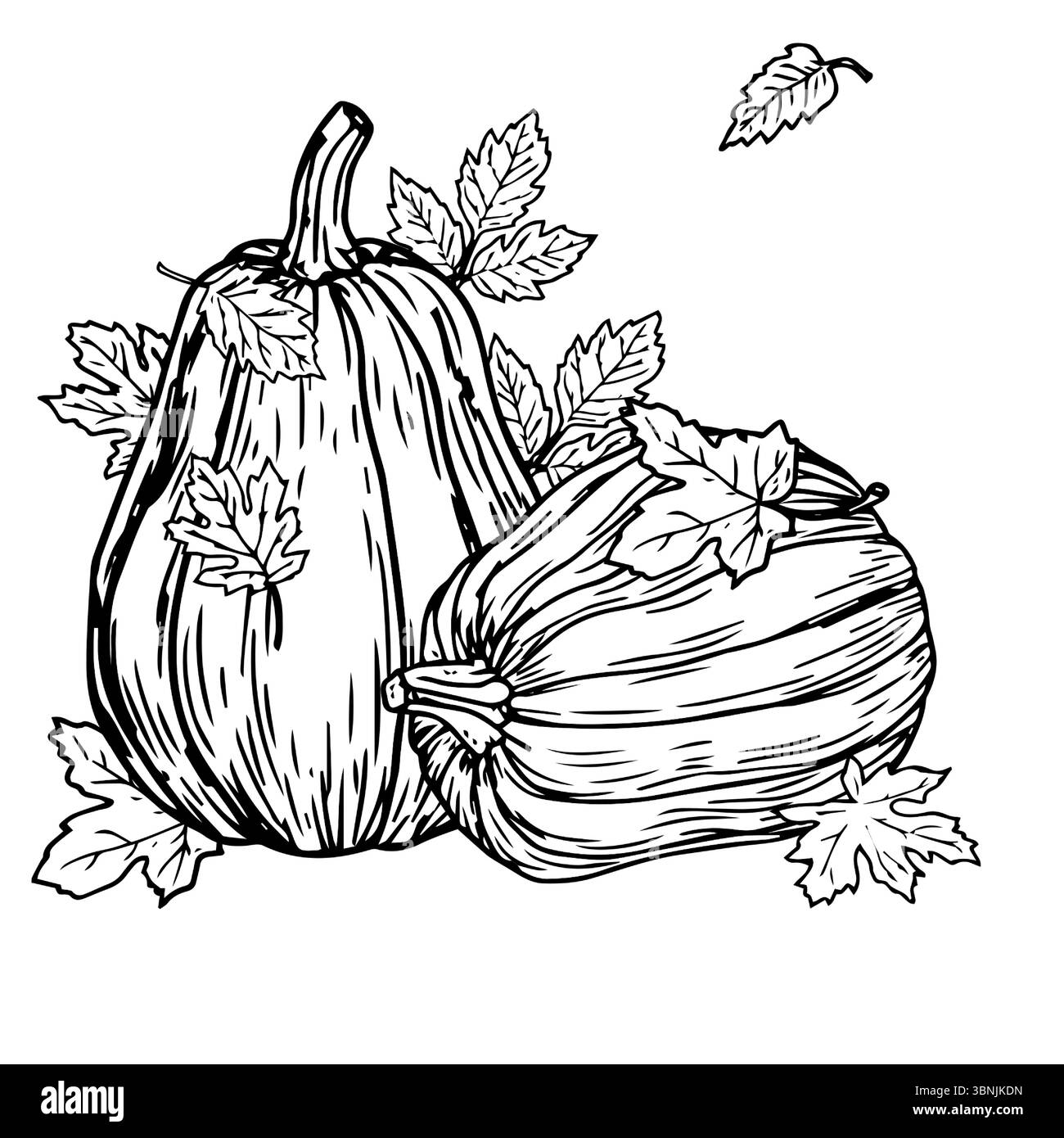 Autumn banner fall leaves Black and White Stock Photos & Images - Alamy