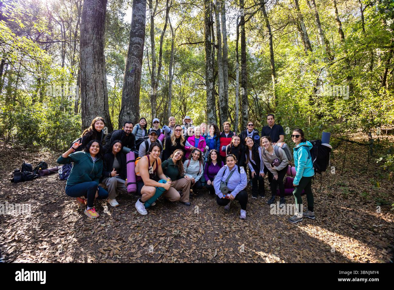 A diverse group enjoys outdoor yoga and hiking in a forest setting ...