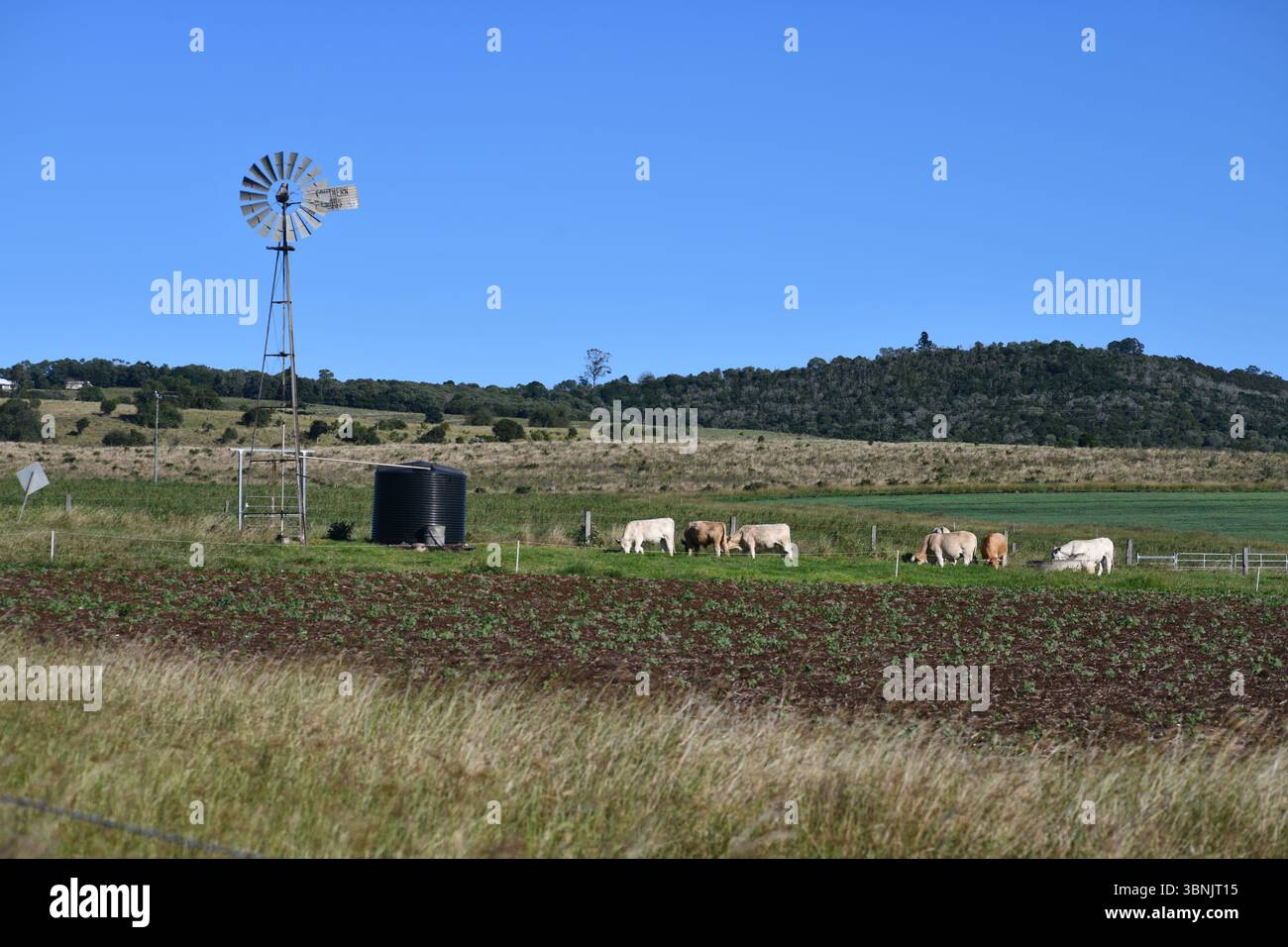 A traditional style windmill on a farm in the South Burnett district of ...