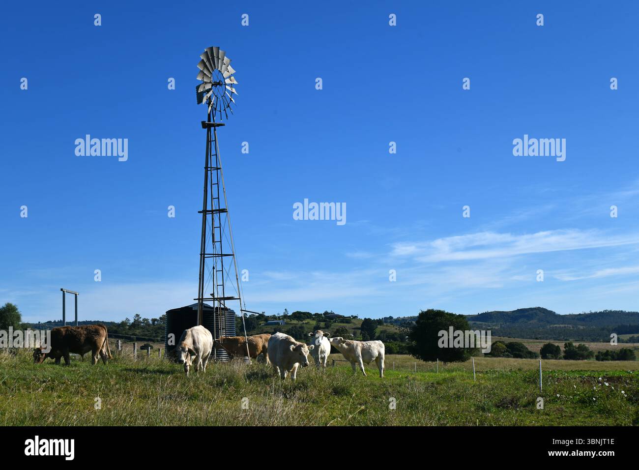 A traditional style windmill on a farm in the South Burnett district of ...