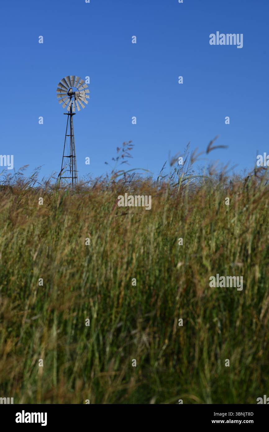 A traditional style windmill on a farm in the South Burnett district of ...