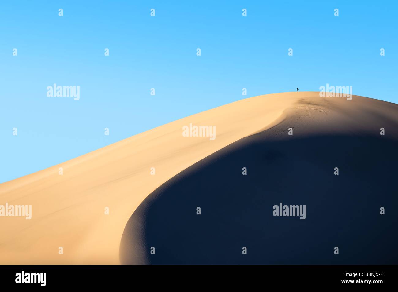 Serene golden sand dunes stretch majestically under a clear blue sky ...