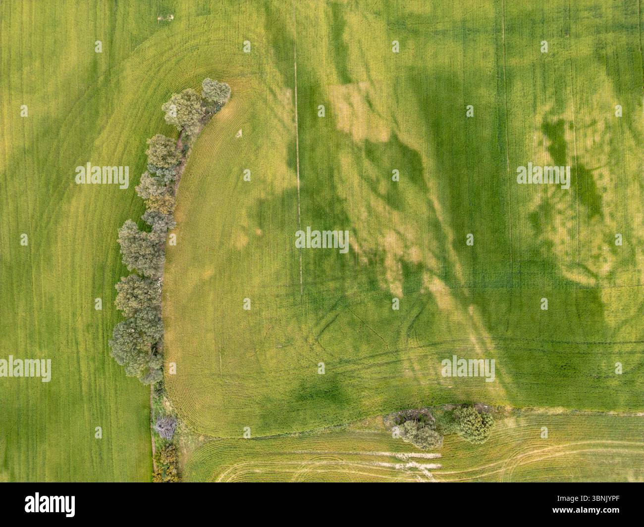 A stunning aerial view captures lush green fields sprawling across the landscape, with a line of ...