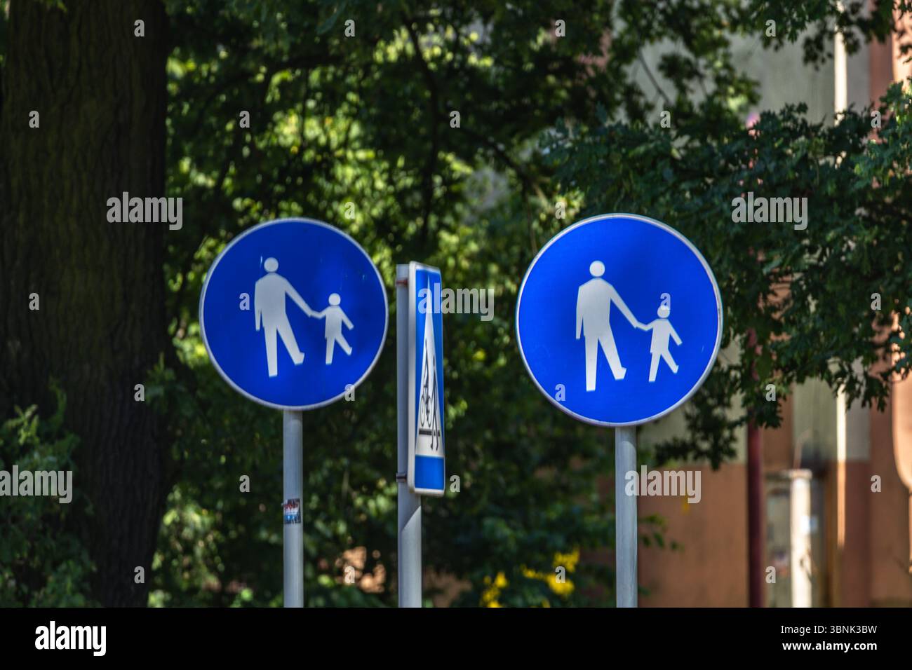 C 16 pedestrian road sign, marking of a pedestrian path in the city ...