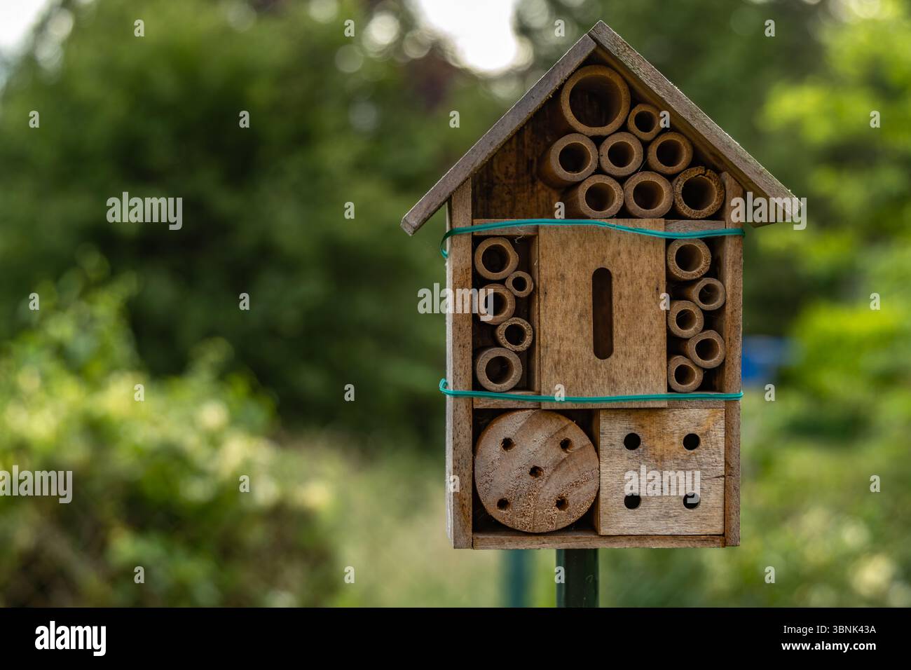 Wooden house for insects in the garden, nature conservation insect ...