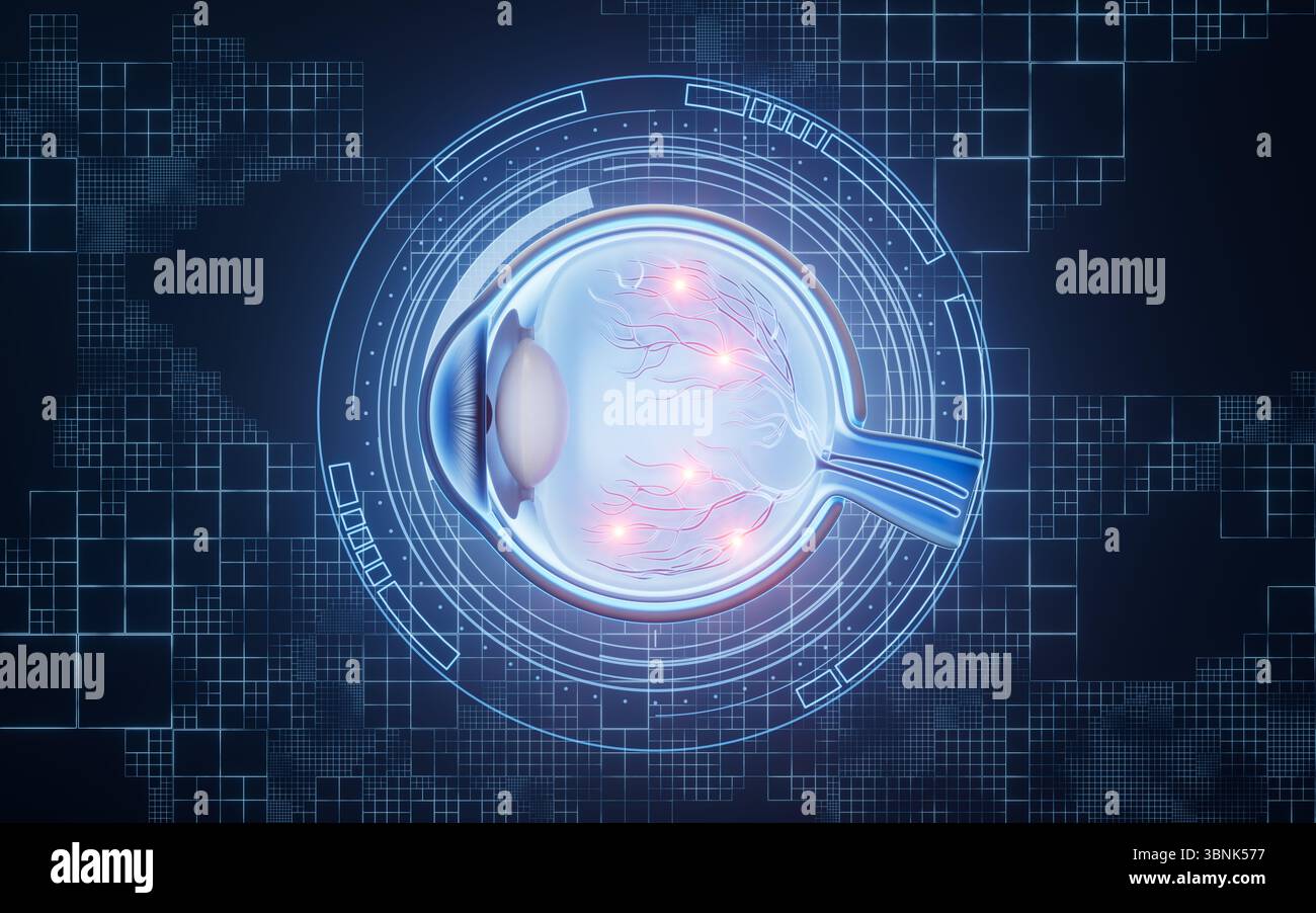 Medical eyeball structure scientific illustration, 3d rendering. 3D ...