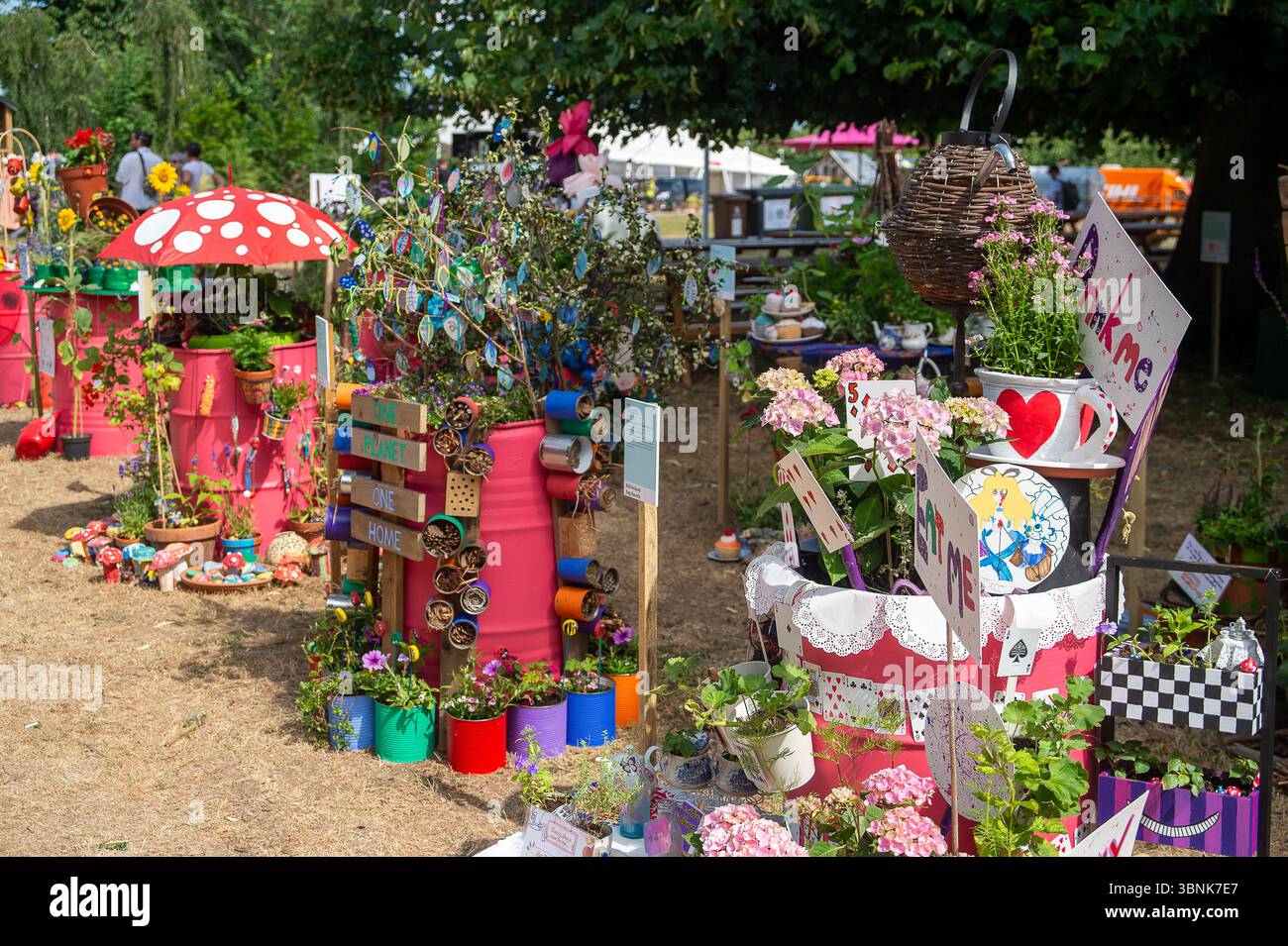 East Molesey, Surrey, UK. 30th June, 2025. Colourful School Bug Barrels ...