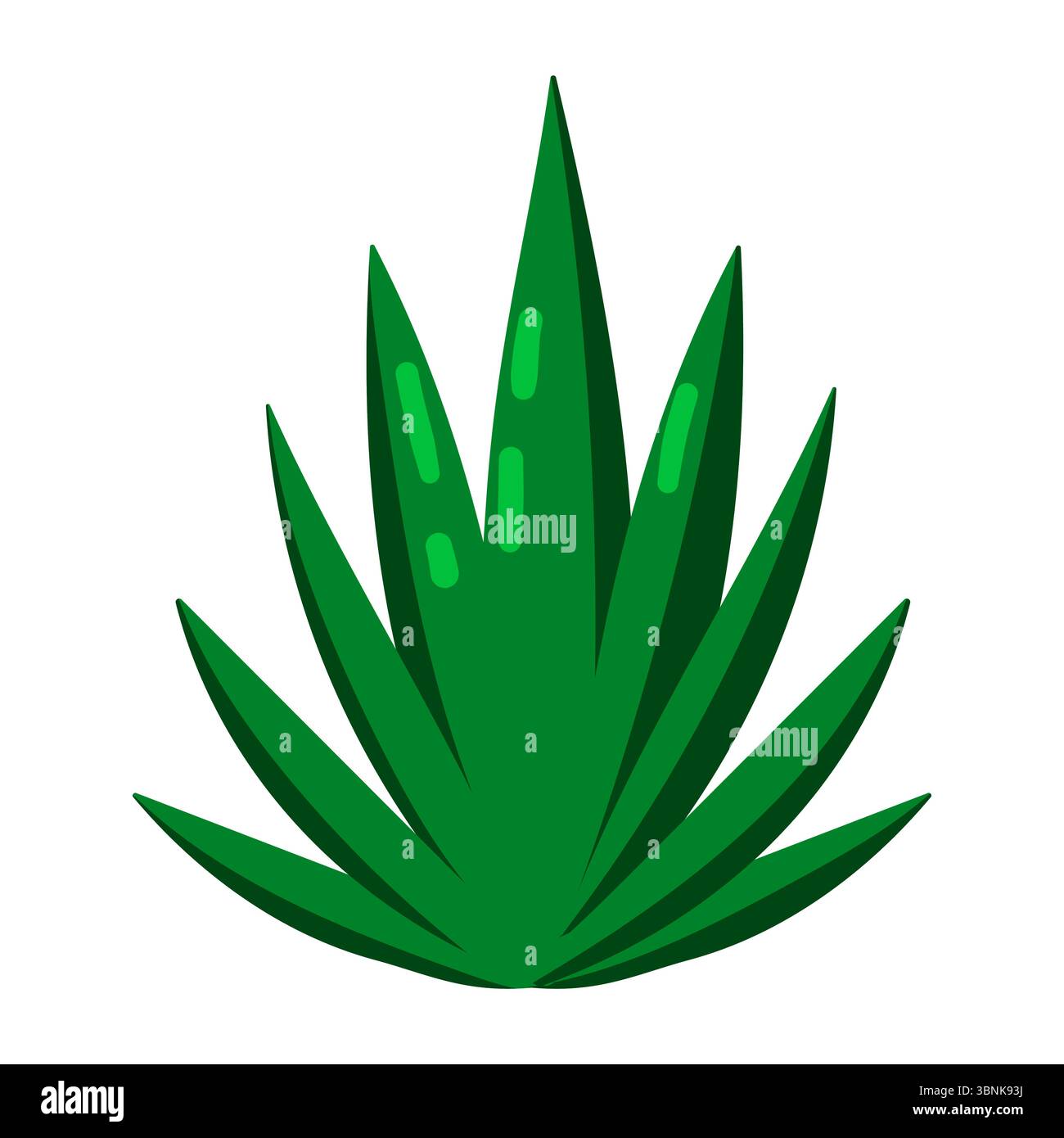 Sharp spiky leaves Stock Vector Images - Alamy