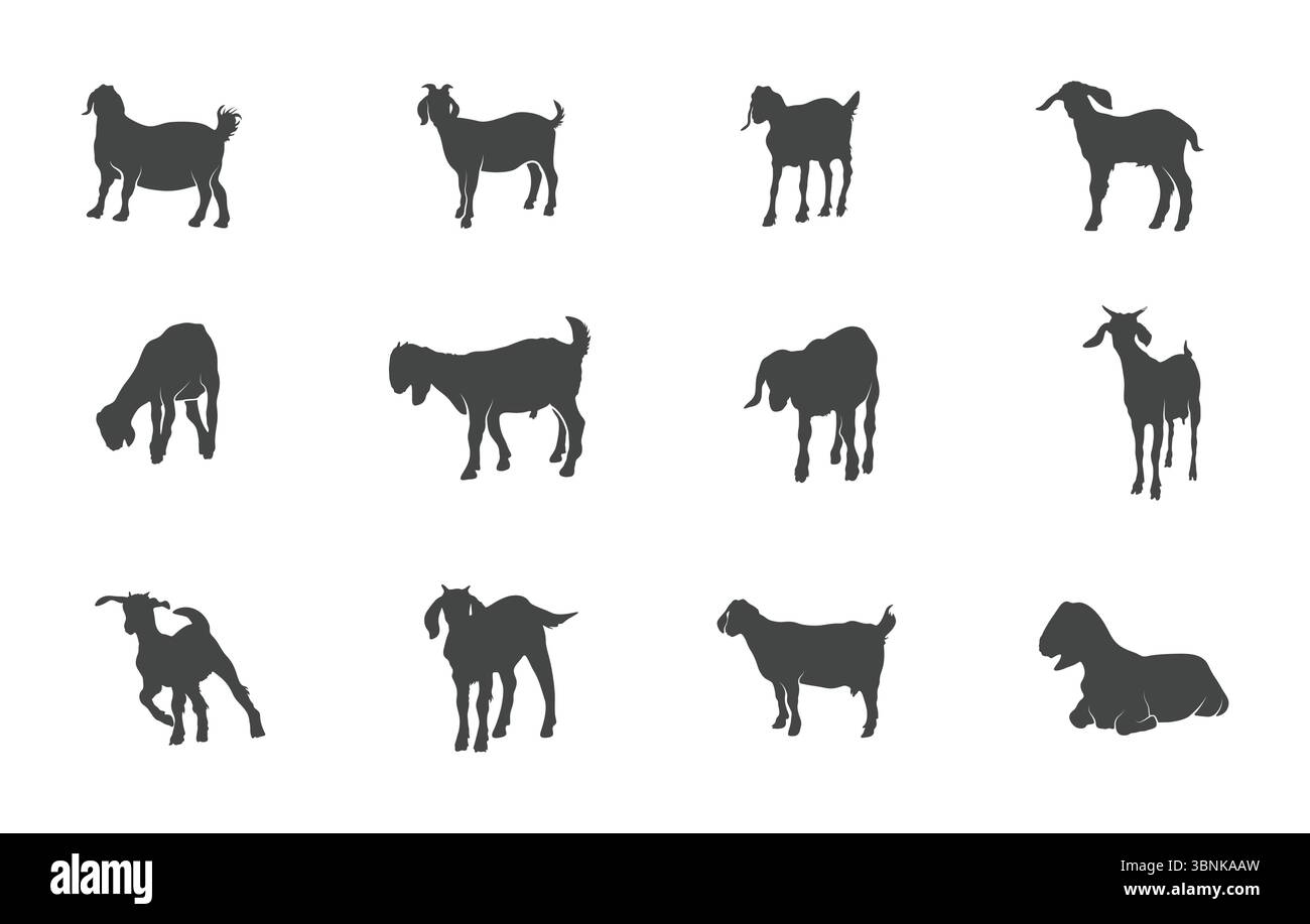Boer goat svg, Boer goat silhouette, Boer goat vector, Boer goat clipart, Boer goat drawing ...