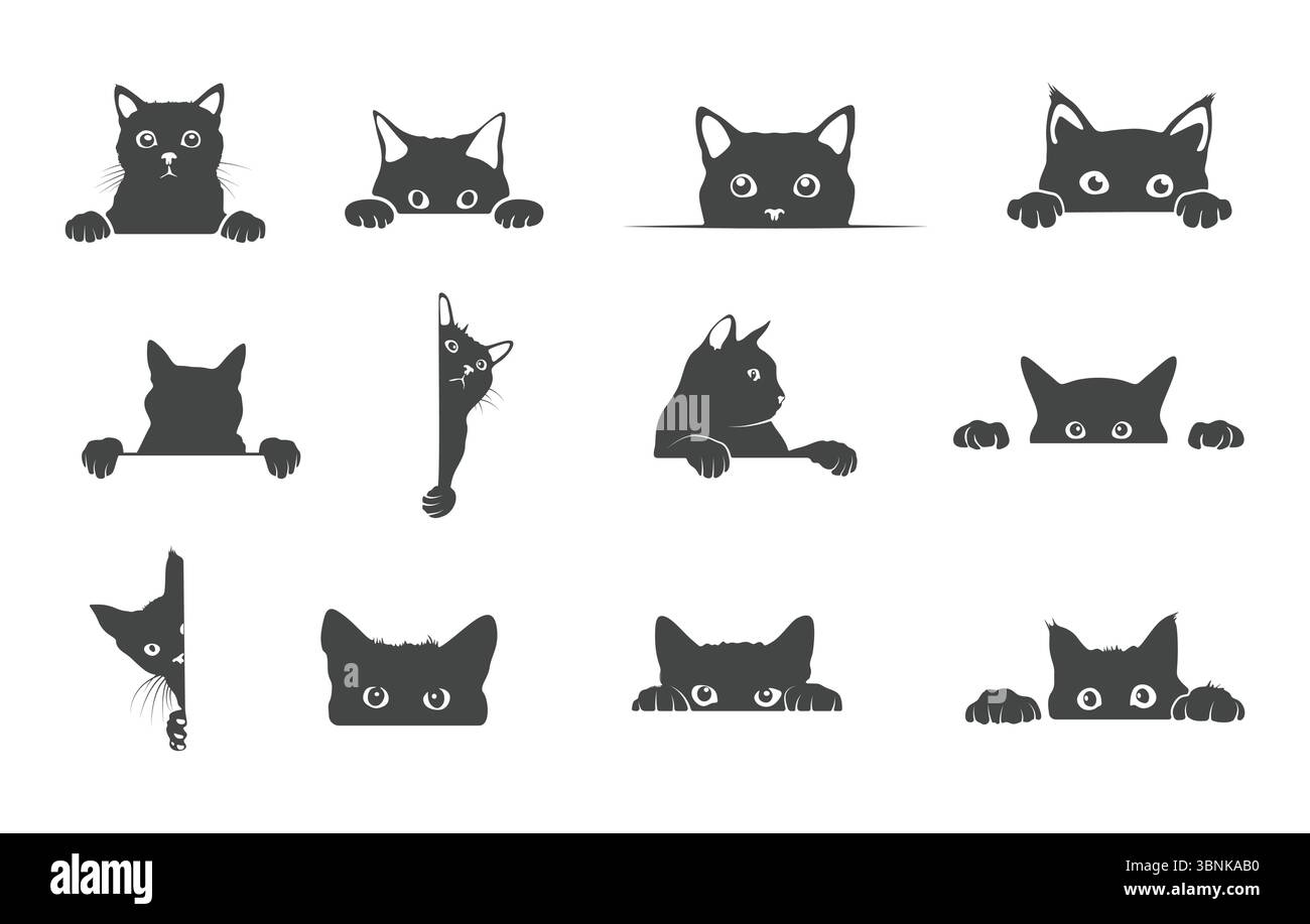 Cat peeking silhouette, Cat peeking svg, Black cat peeking svg, Black ...