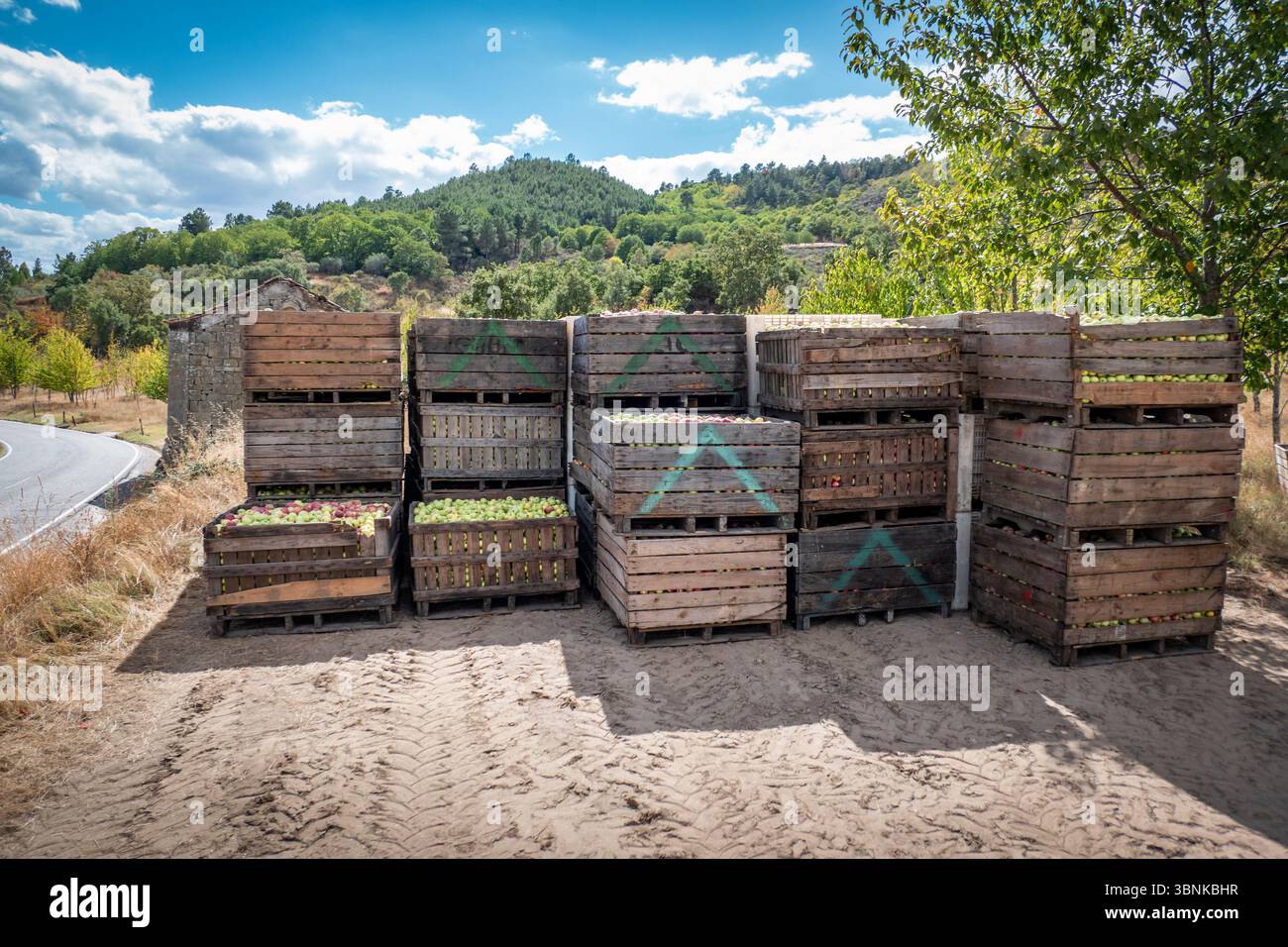 Stacked wooden crates hi-res stock photography and images - Alamy