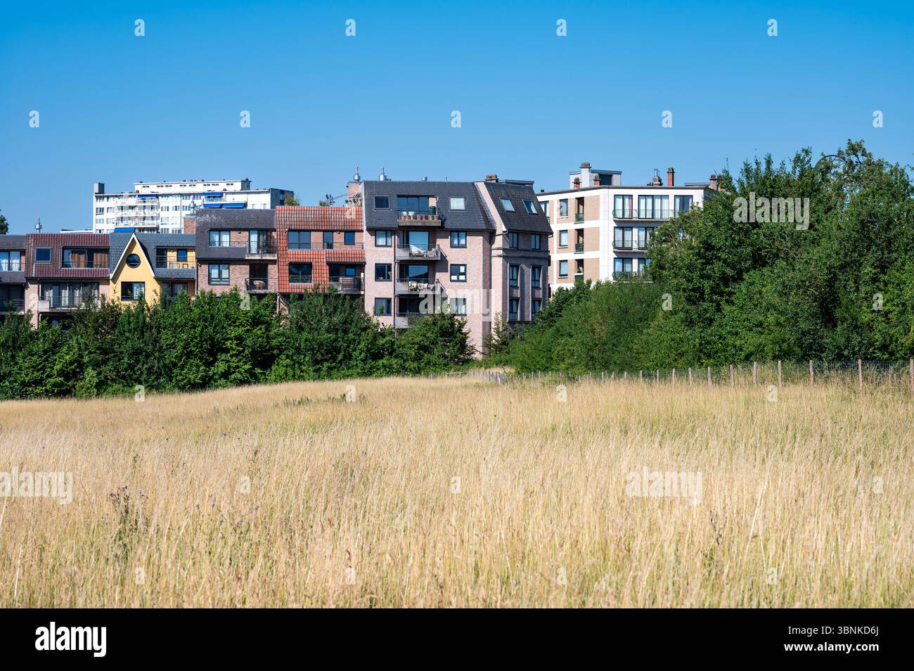 Residential houses and low rise apartment blocks with the Zavelenberg ...