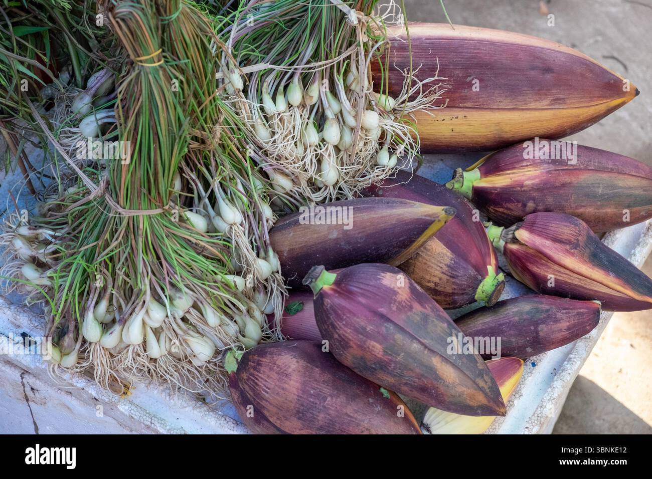 banana flowers an outdoor market in Southeast Asia Stock Photo - Alamy