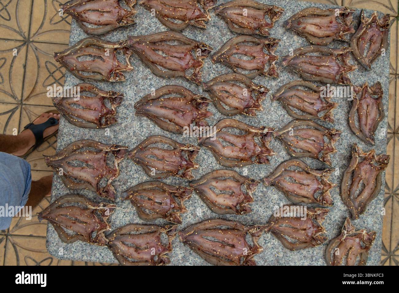 Overhead view of dried fish, split open and neatly aligned on a block ...