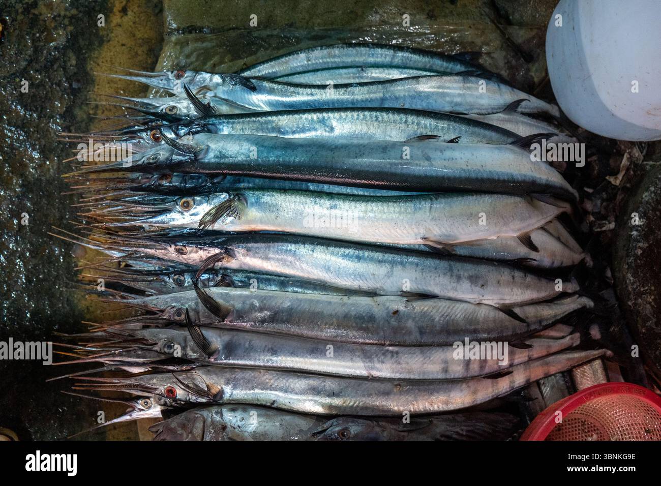 Fresh Needlefish for Sale at Southeast Asian Wet Market Stock Photo - Alamy