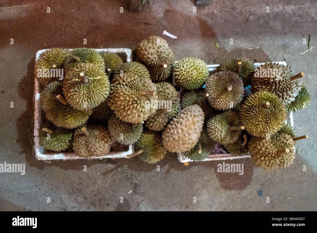 Durian, Avocado, and Custard Apple Display at Southeast Asian Market ...