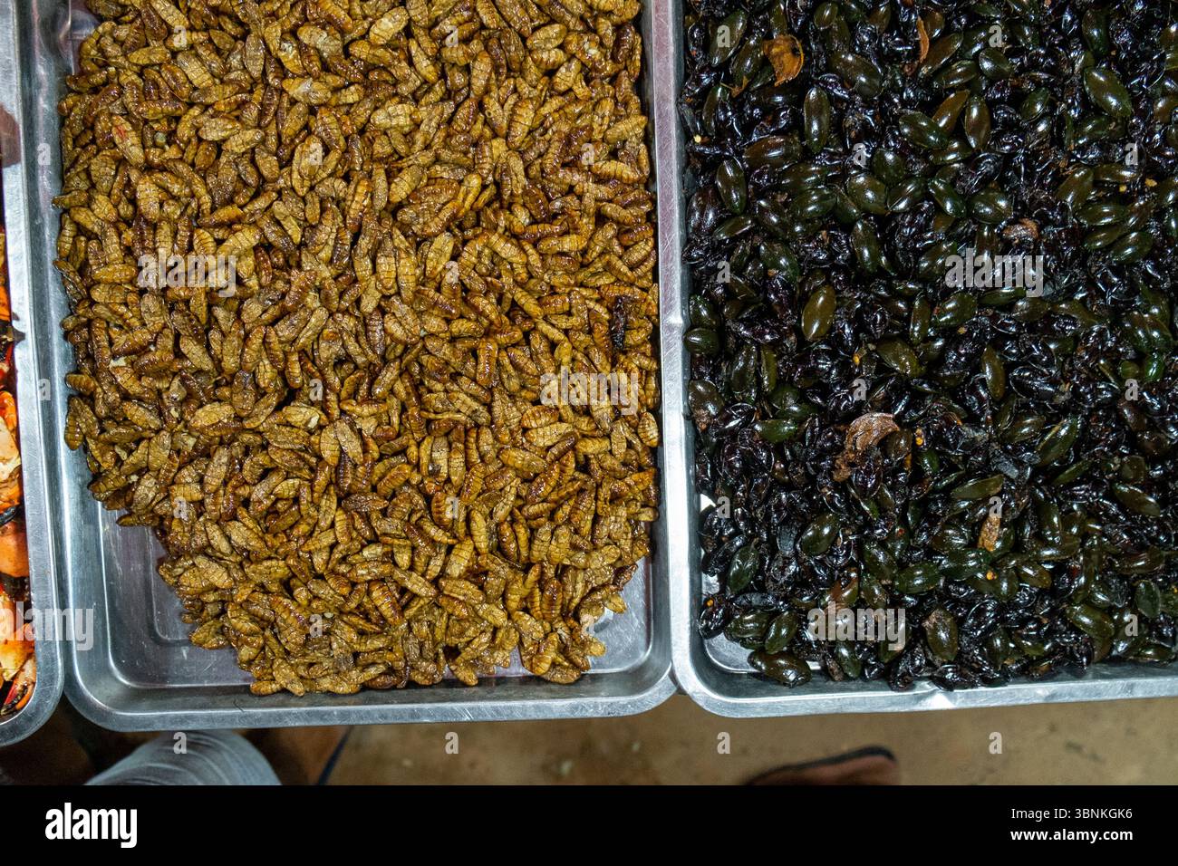 Cambodian Edible Insects on Display at Street Market Stock Photo - Alamy