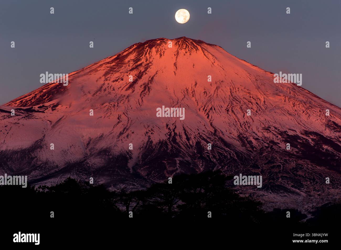 Mount Fuji at Dawn and the Moon Stock Photo - Alamy