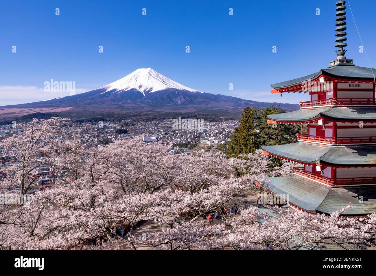Cherry Blossoms, Five-Storied Pagoda and Mt. Fuji from Arakurayama ...