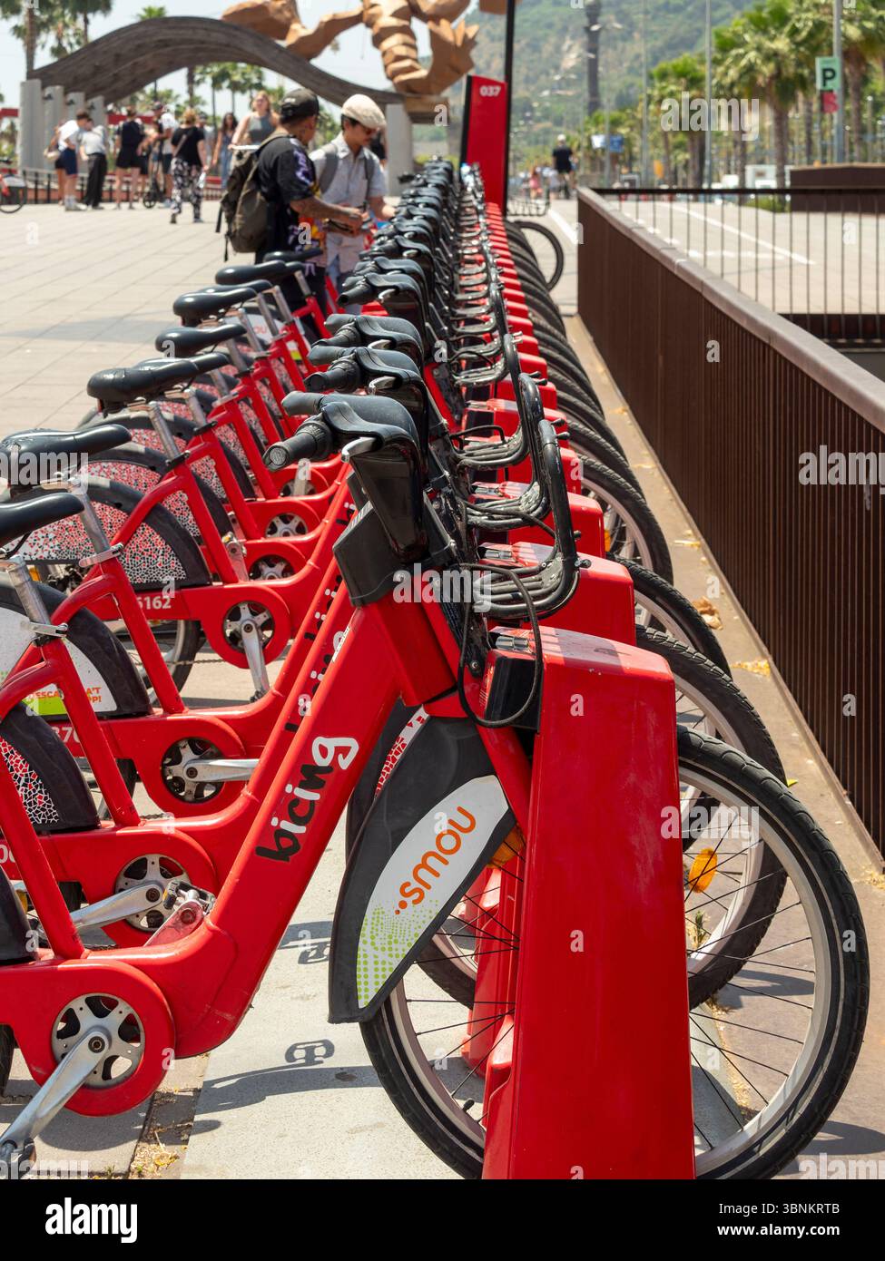 Eco friendly transportation row hi-res stock photography and images - Alamy