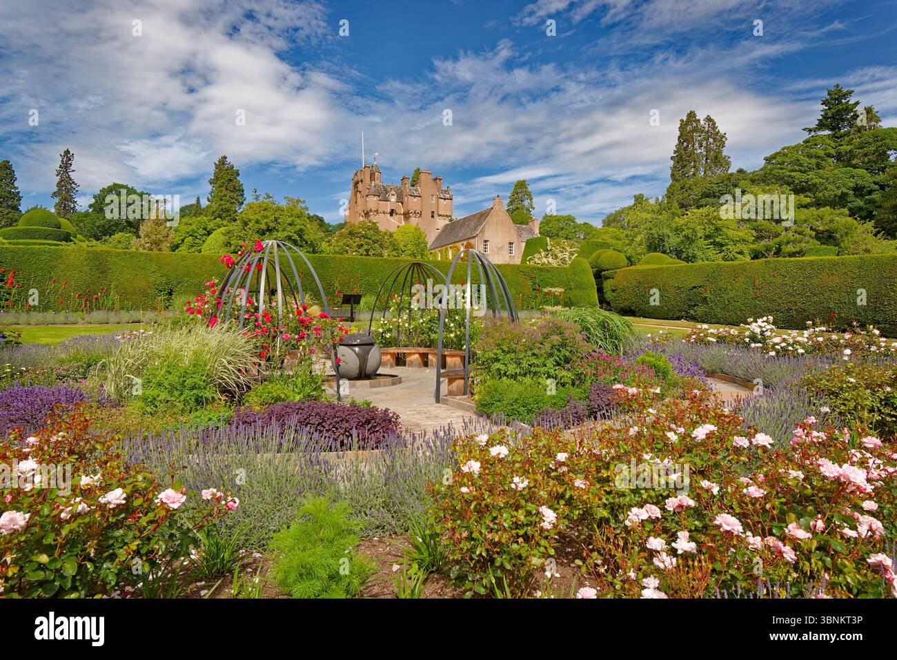 Crathes Castle Banchory Aberdeenshire Scotland the topiary hedges of Irish yew dating from 1702 ...