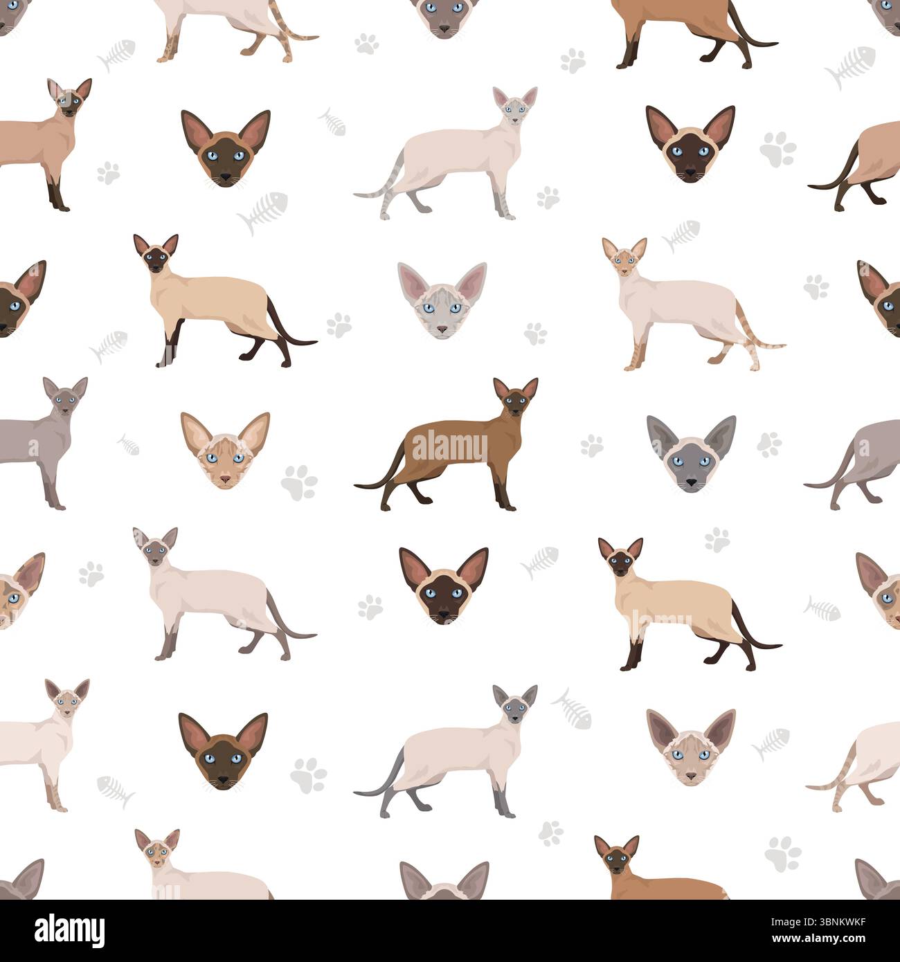 Siamese (Thai) Cat clipart. Modern type. All coat colors set. All cat ...
