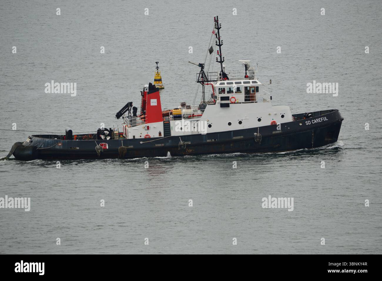 Tugboat RMAS SD Careful A227 on Plymouth Sound Stock Photo - Alamy