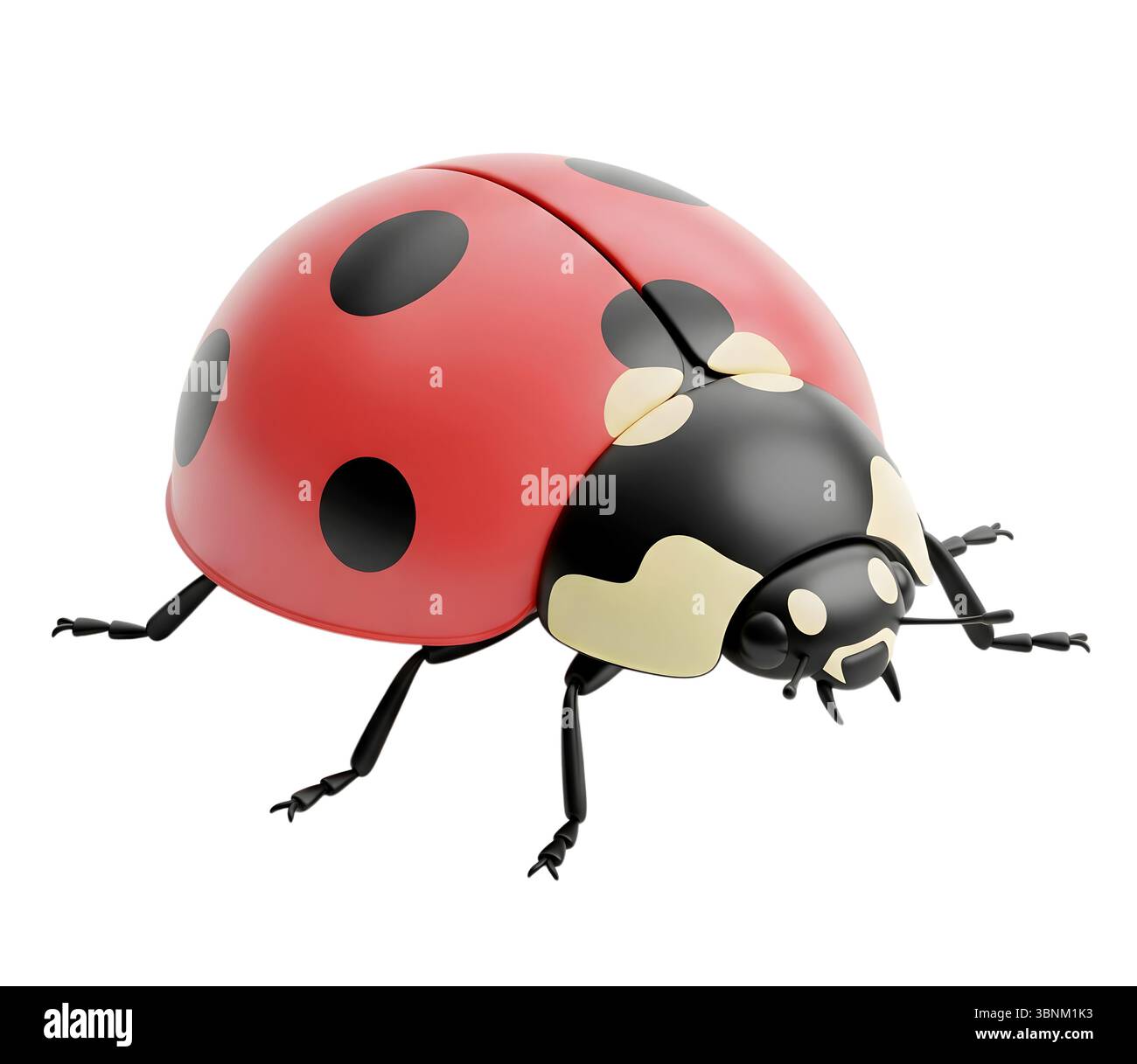 Shiny black thorax Cut Out Stock Images & Pictures - Alamy