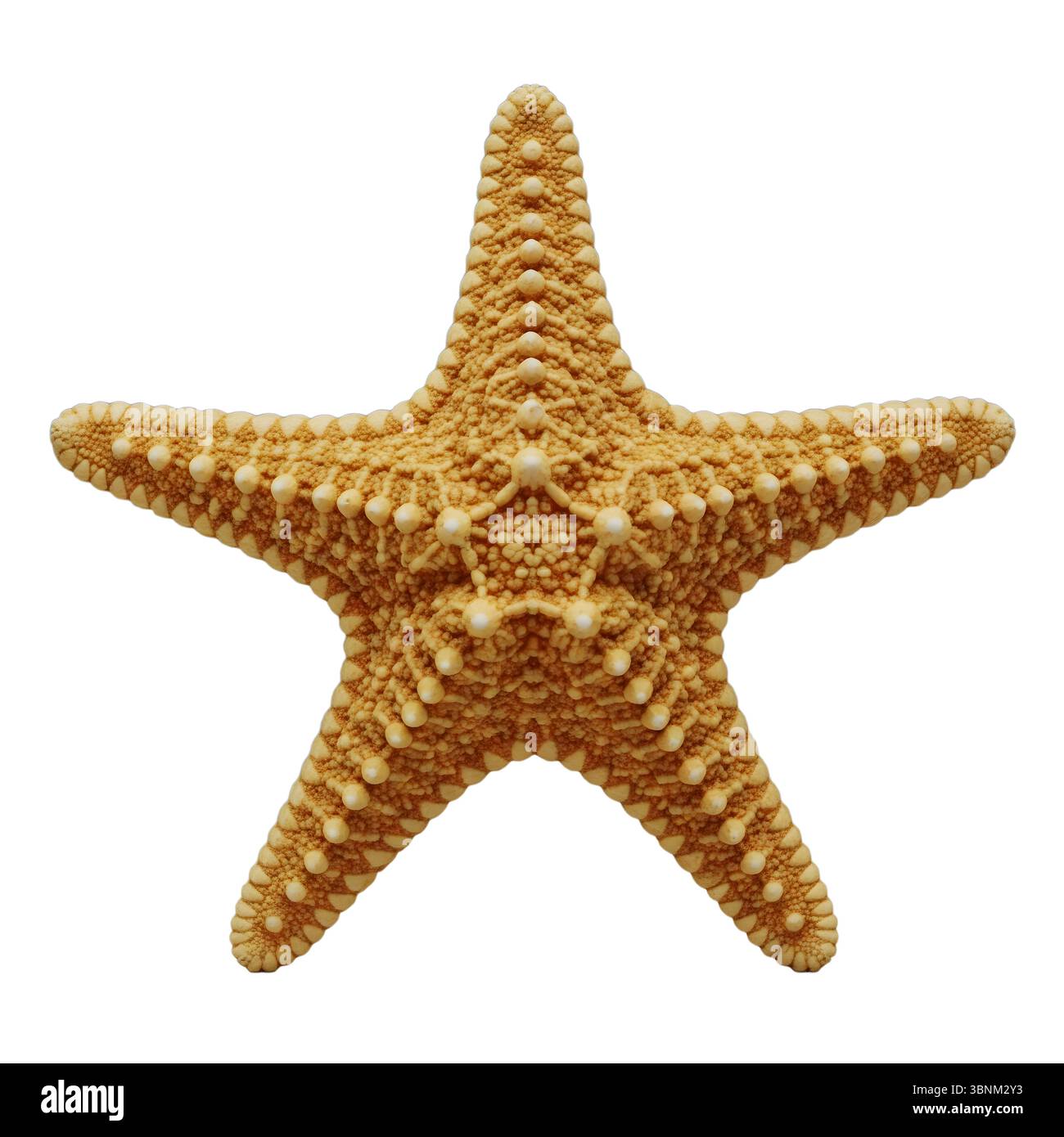 Fascinating Cut Out Stock Images & Pictures - Alamy