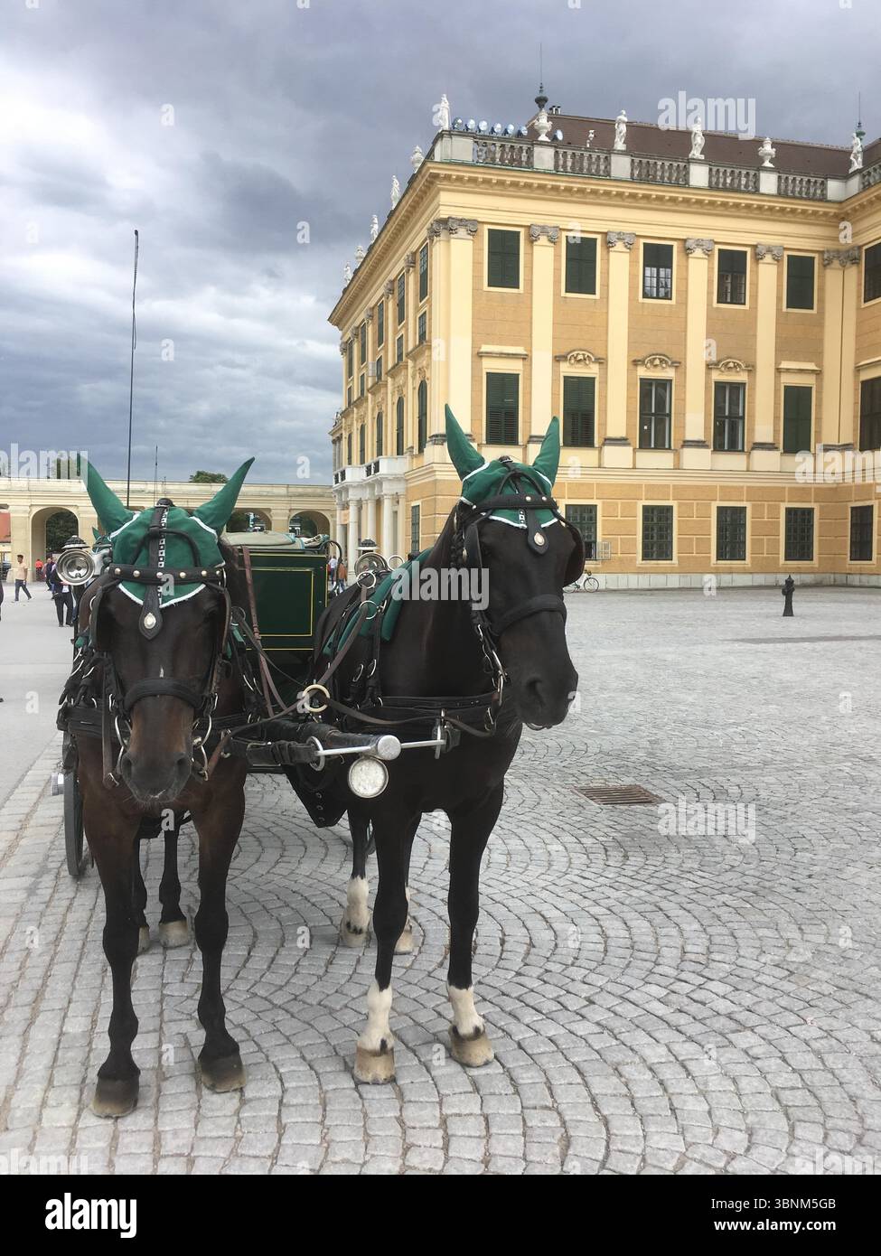 Majestic city‑centre architecture in Vienna—from baroque palaces and ...