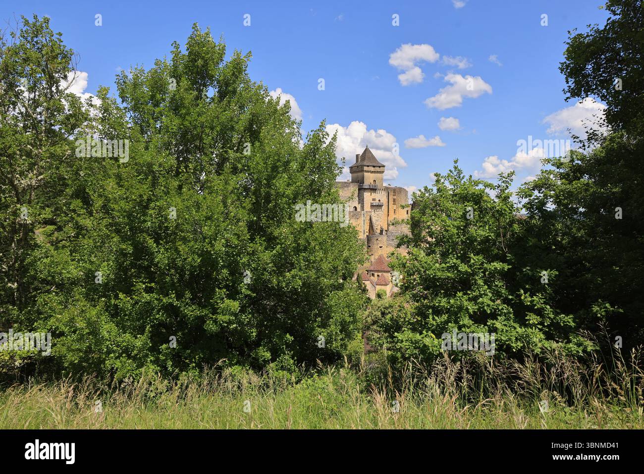 The fortified castle of Castelnaud, Museum of War in the Middle Ages ...
