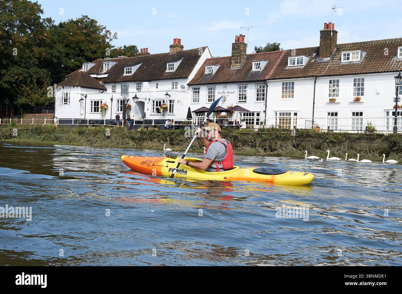 Kayakers navigating the Tidal Thames at Kew, London Stock Photo - Alamy