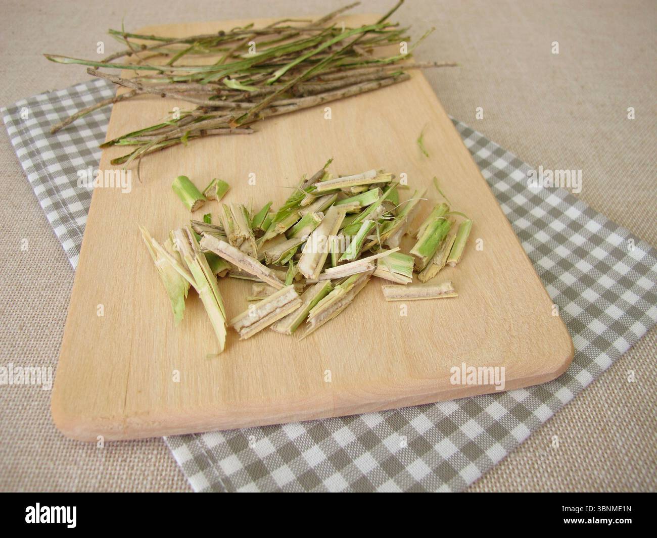 Elder pith hi-res stock photography and images - Alamy