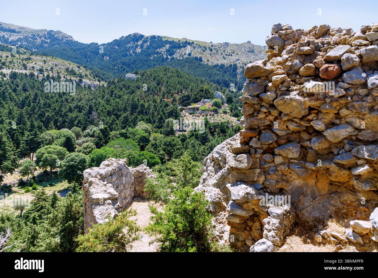 Old forest laws from hi-res stock photography and images - Alamy