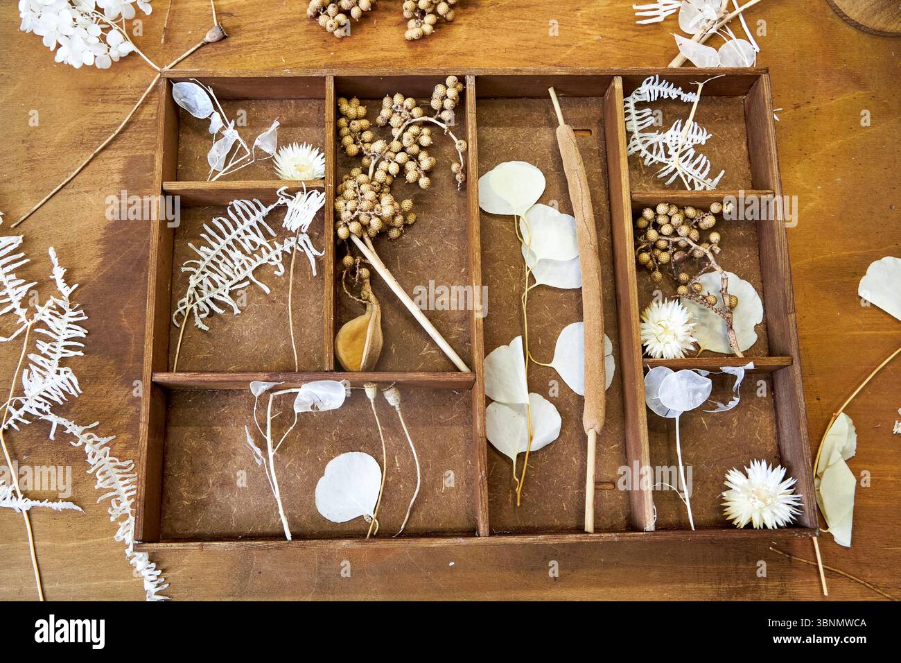 Handmade dried flower collage arranged in a vintage wooden organizer. A ...