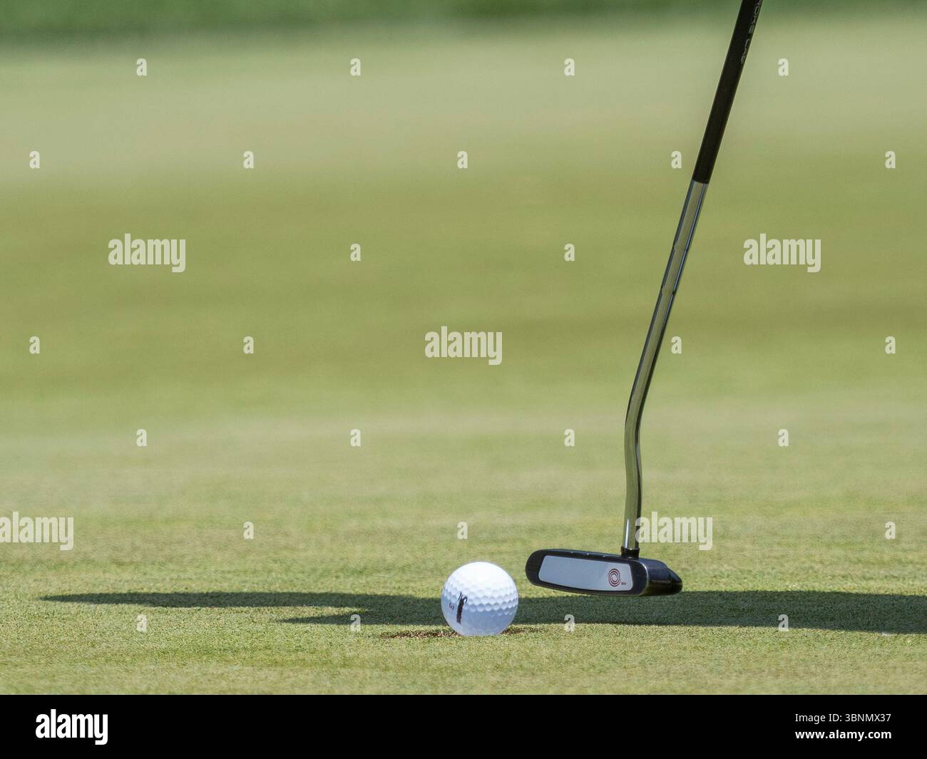 DETROIT, MI - JUNE 29: Andrew Putnam (USA) putts the ball during the final round of the Rocket ...