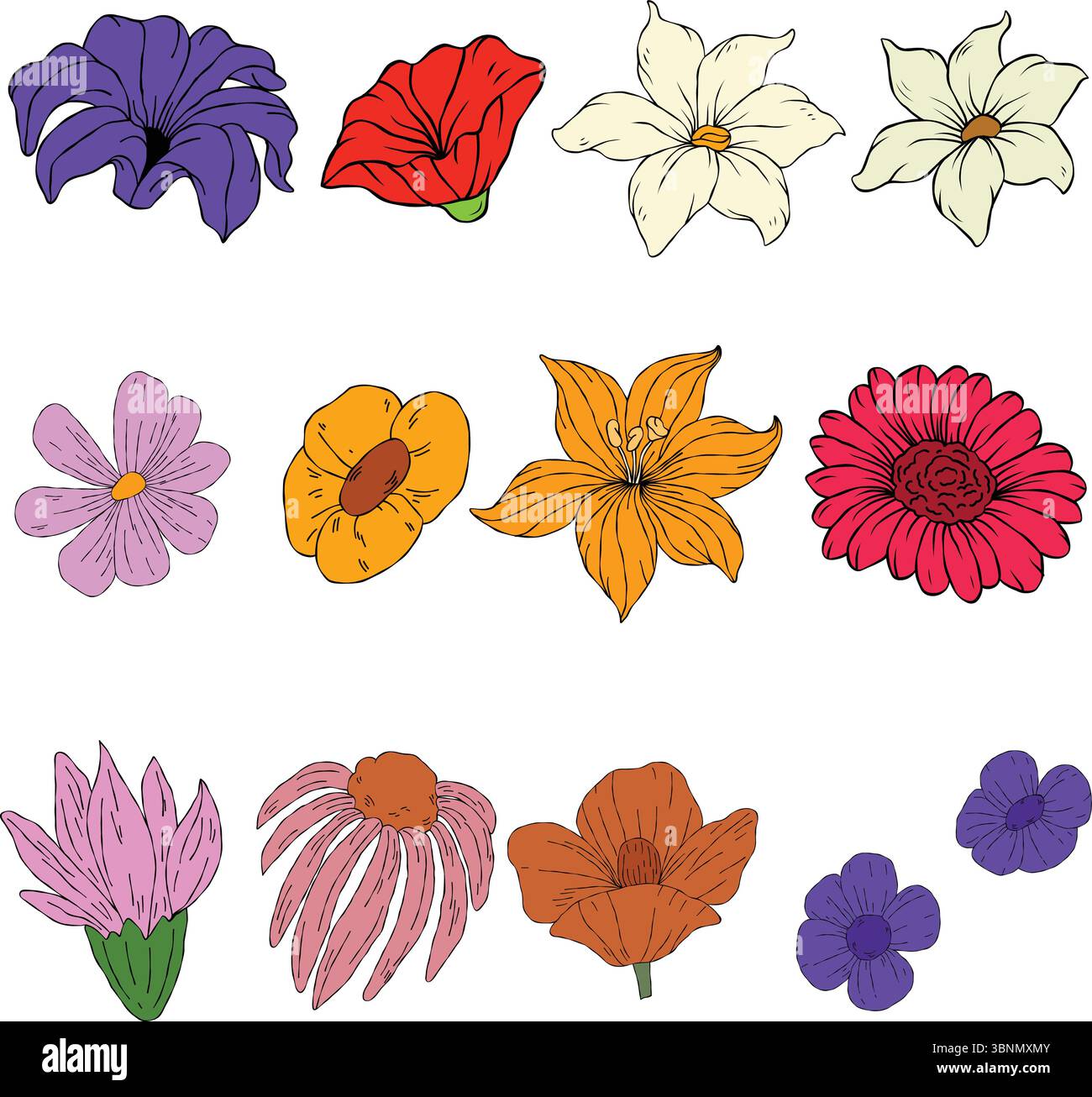 Blooming red lily isolated Stock Vector Images - Alamy