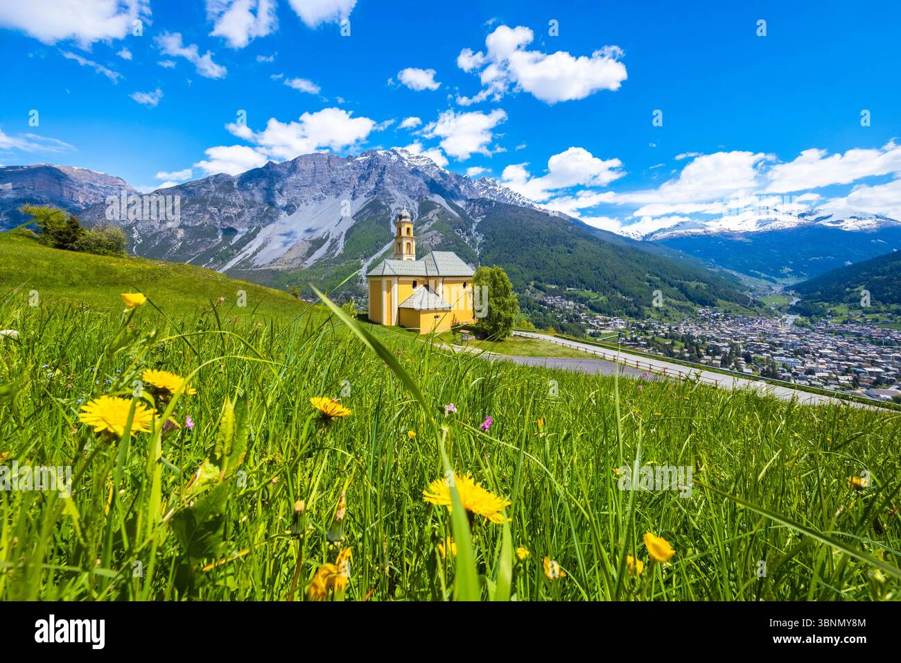 Spring view of flowers blooming in spring near the church of Madonna di ...