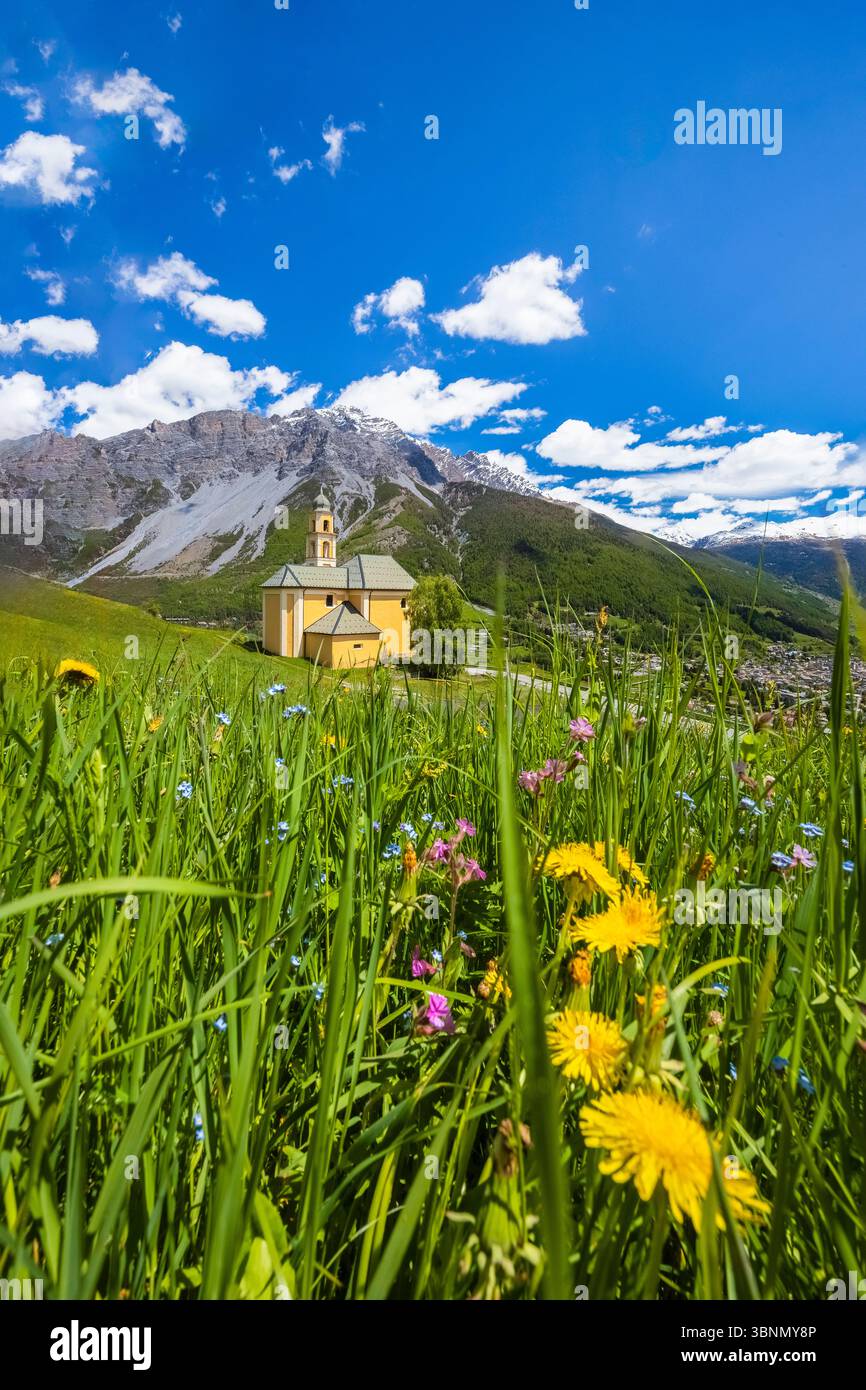 Spring view of flowers blooming in spring near the church of Madonna di ...