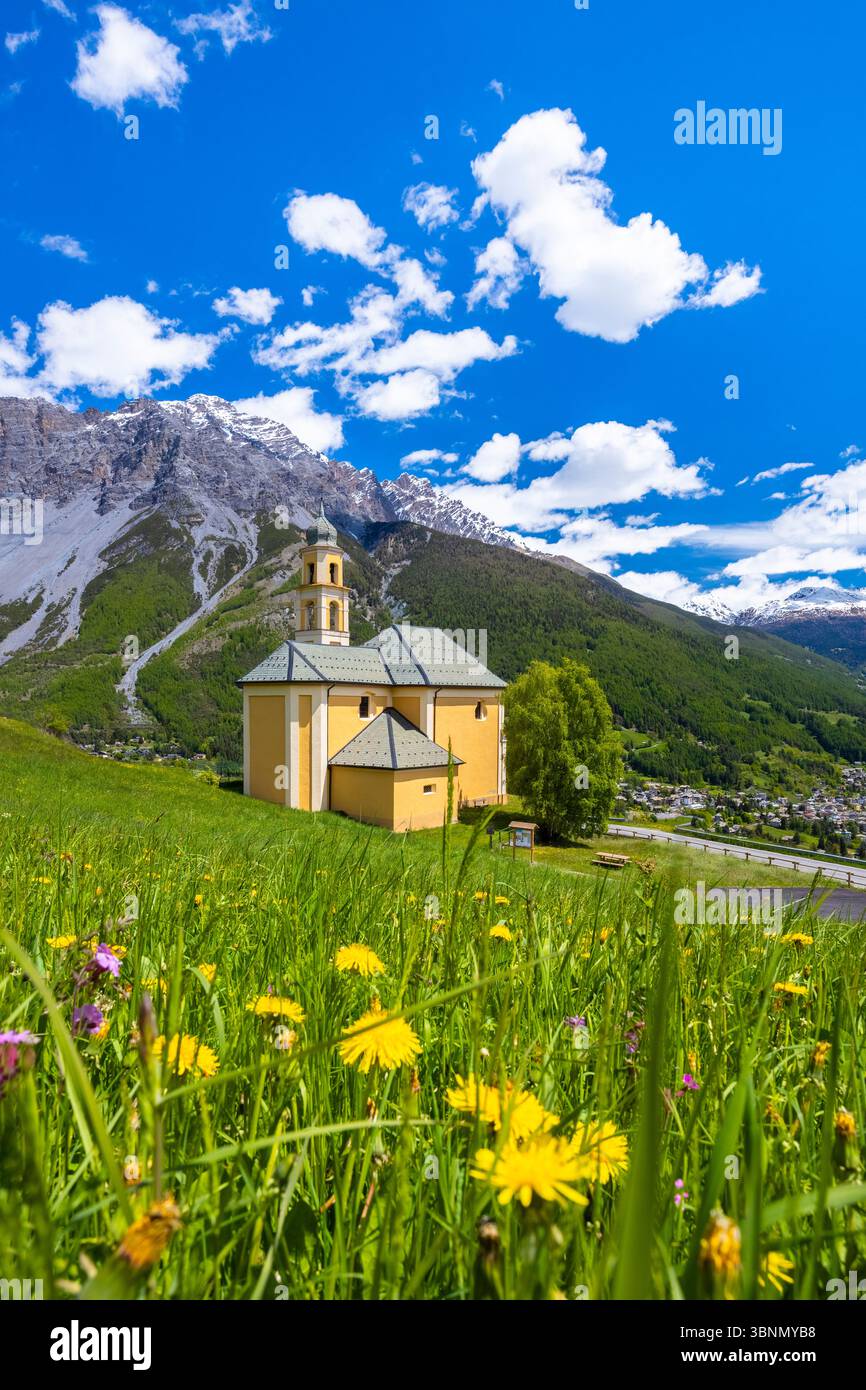 Spring view of flowers blooming in spring near the church of Madonna di ...
