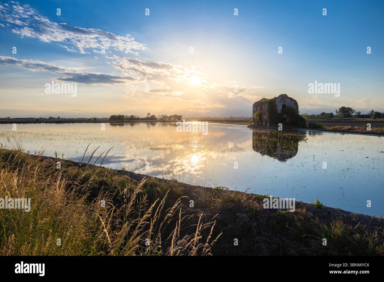 Sunset over rice fields near novara hi-res stock photography and images ...