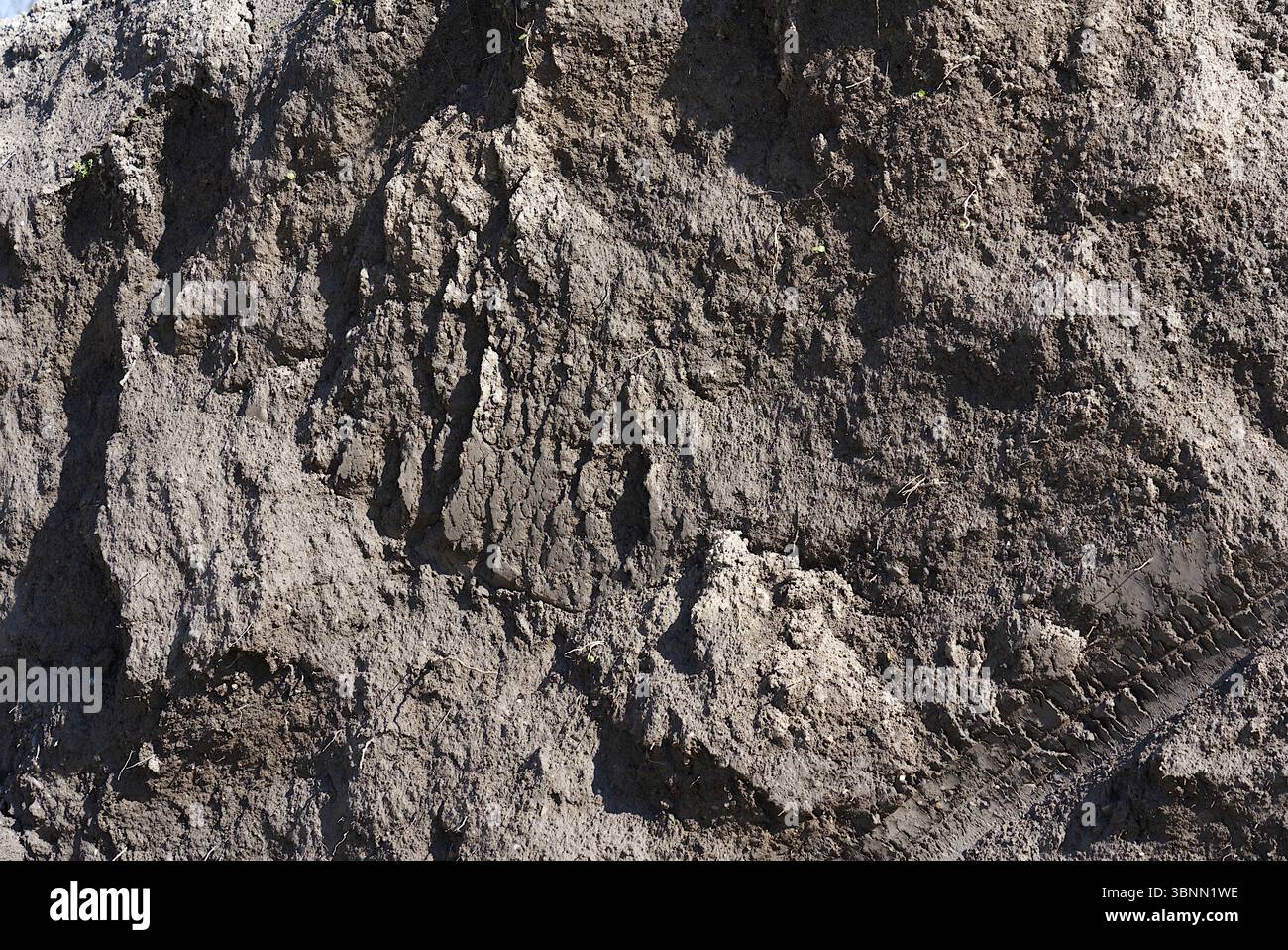 Black earth, humus, topsoil, close-up Stock Photo - Alamy