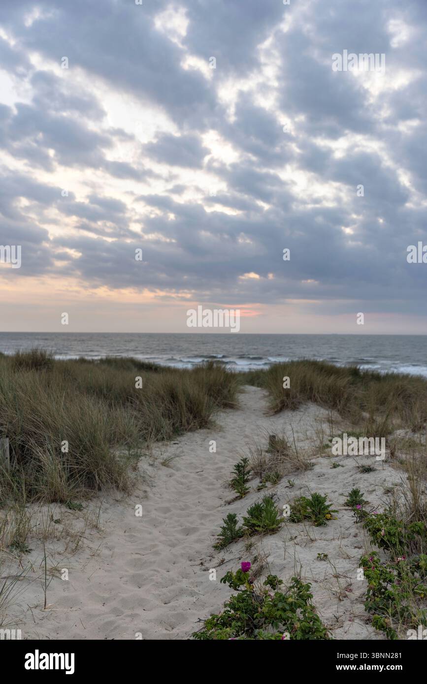 Bredene beach hi-res stock photography and images - Alamy