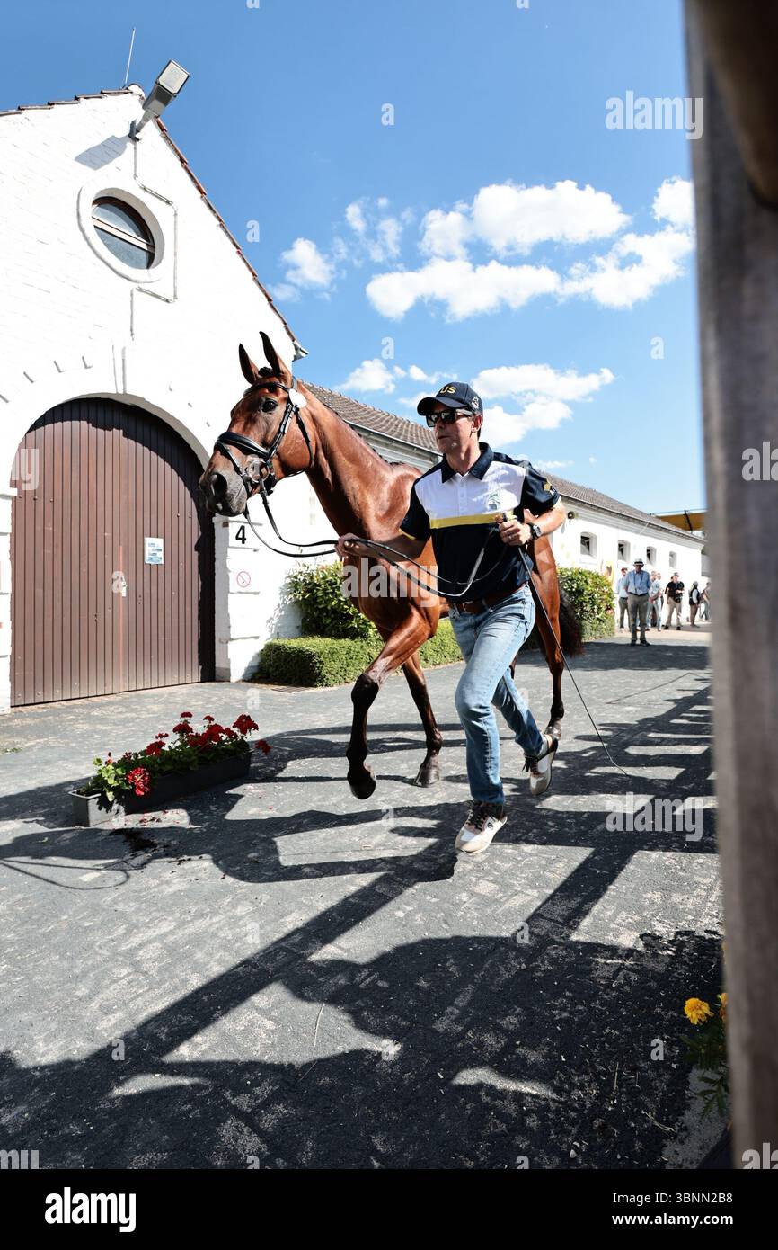 Kevin Mcnab of Australia with Faro Imp during the first horse ...
