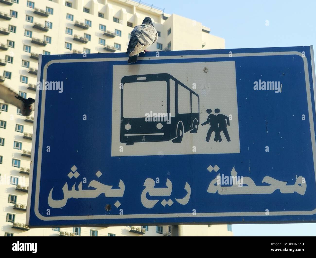 Mecca, Saudi Arabia, June 21 2024: Rea bakhsh bus terminal in Makkah ...