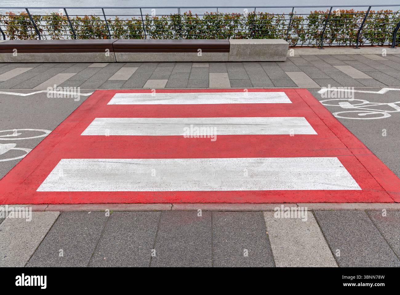 Red and White Paint Double Bike Lane Crossing for Pedestrians Stock ...